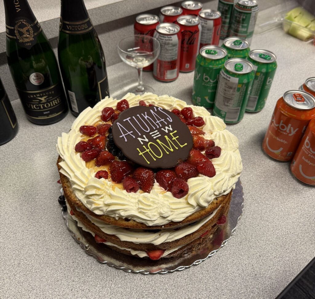 Atuka - A cure for Parkinson’s, faster, through the world's best ...