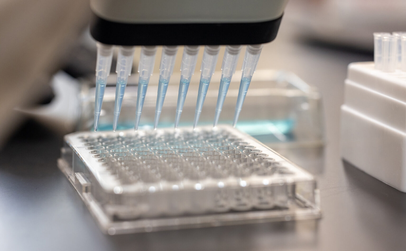 Atuka - A cure for Parkinson’s, faster, through the world’s best ...